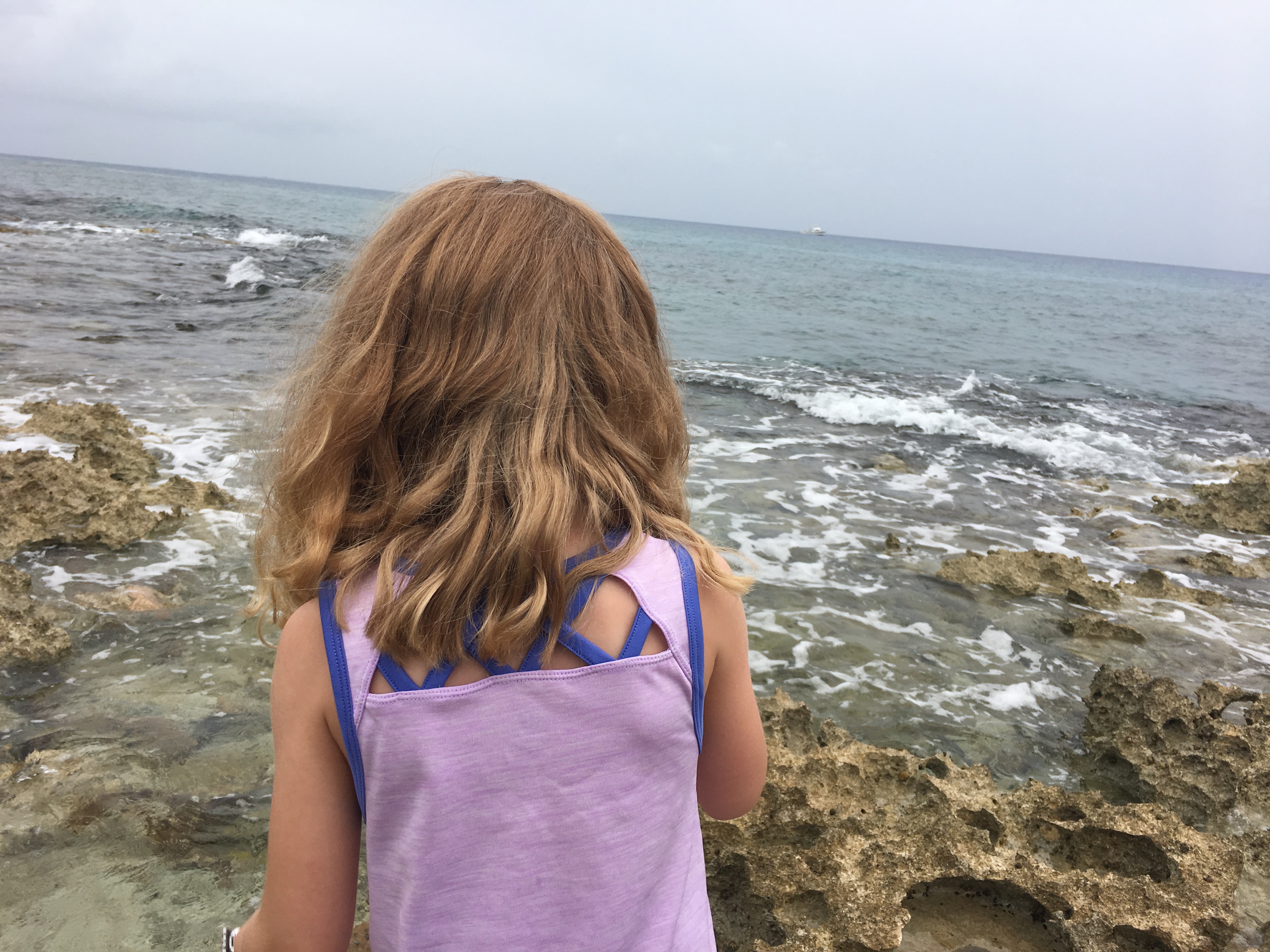 Snorkeling the Heights – And yet, and yet…